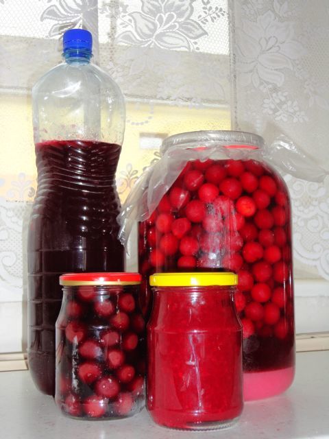 Recept: Opilé višně v rumu | Tradičnírecepty.cz