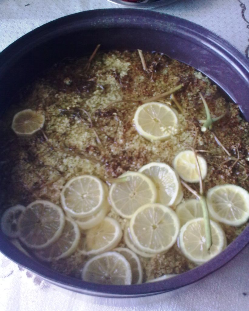 Recept: Bezová šťáva našeho taťky | Tradičnírecepty.cz